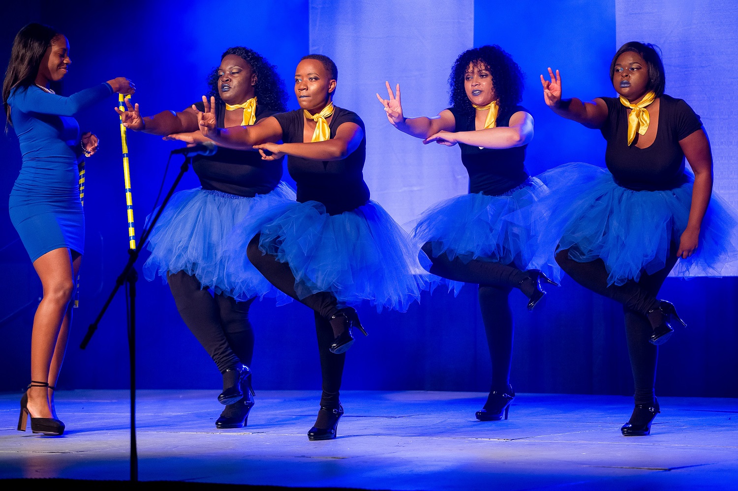 Sigma Gamma Rho's at Step Show - Saint Augustine's University